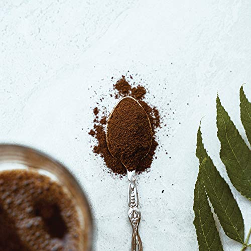 Chaga powder for immune health