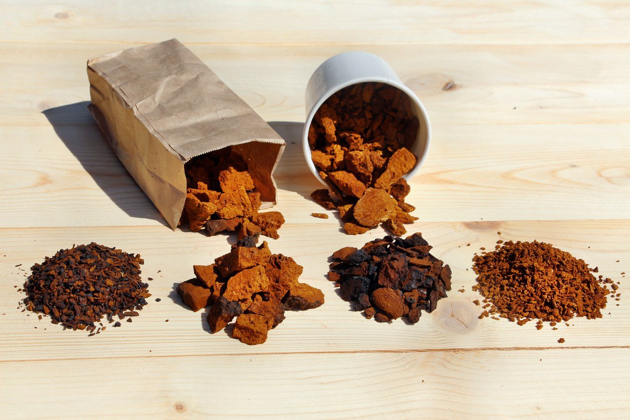 chaga powder for immune support
