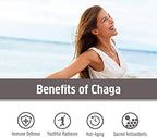 chaga powder for immune support