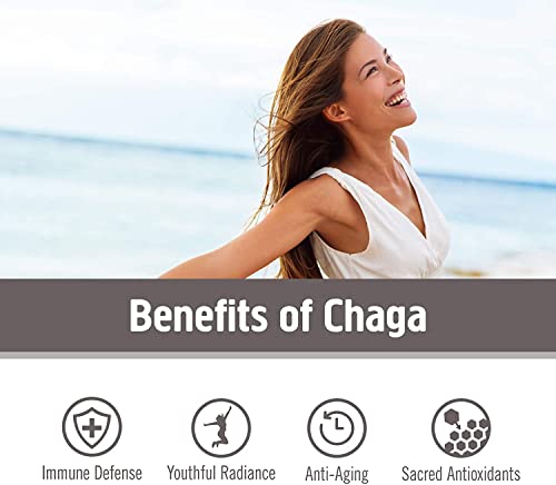 chaga powder for immune support