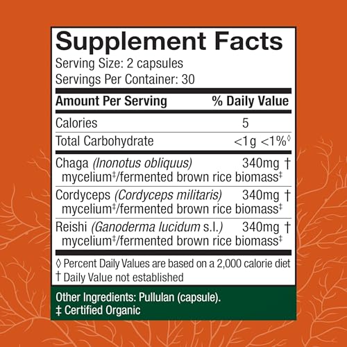 Chaga Reishi Cordyceps benefits
