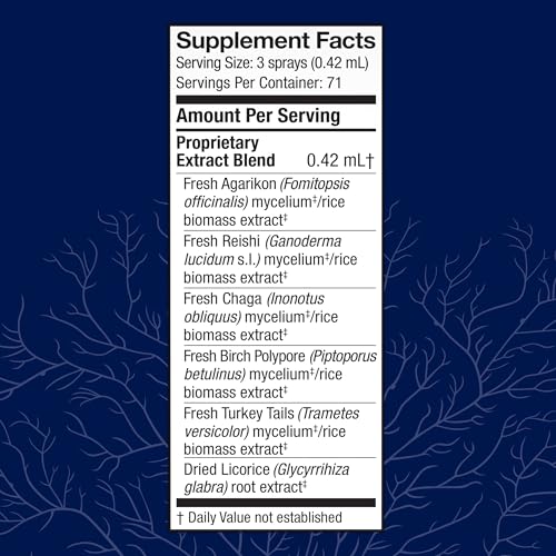 Chaga Reishi Turkey Tail benefits