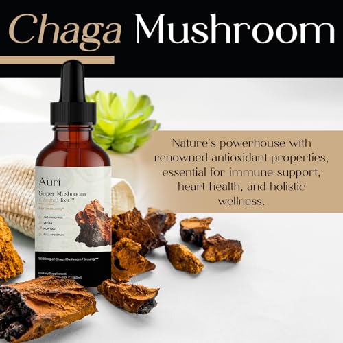 Chaga superfood for immune health