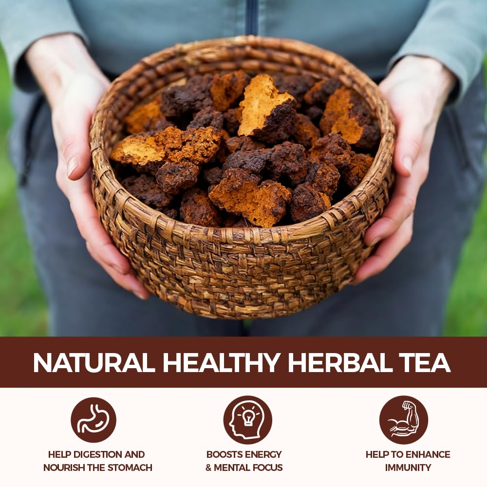 Chaga tea bags for daily health