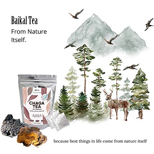 chaga tea for everyday wellness