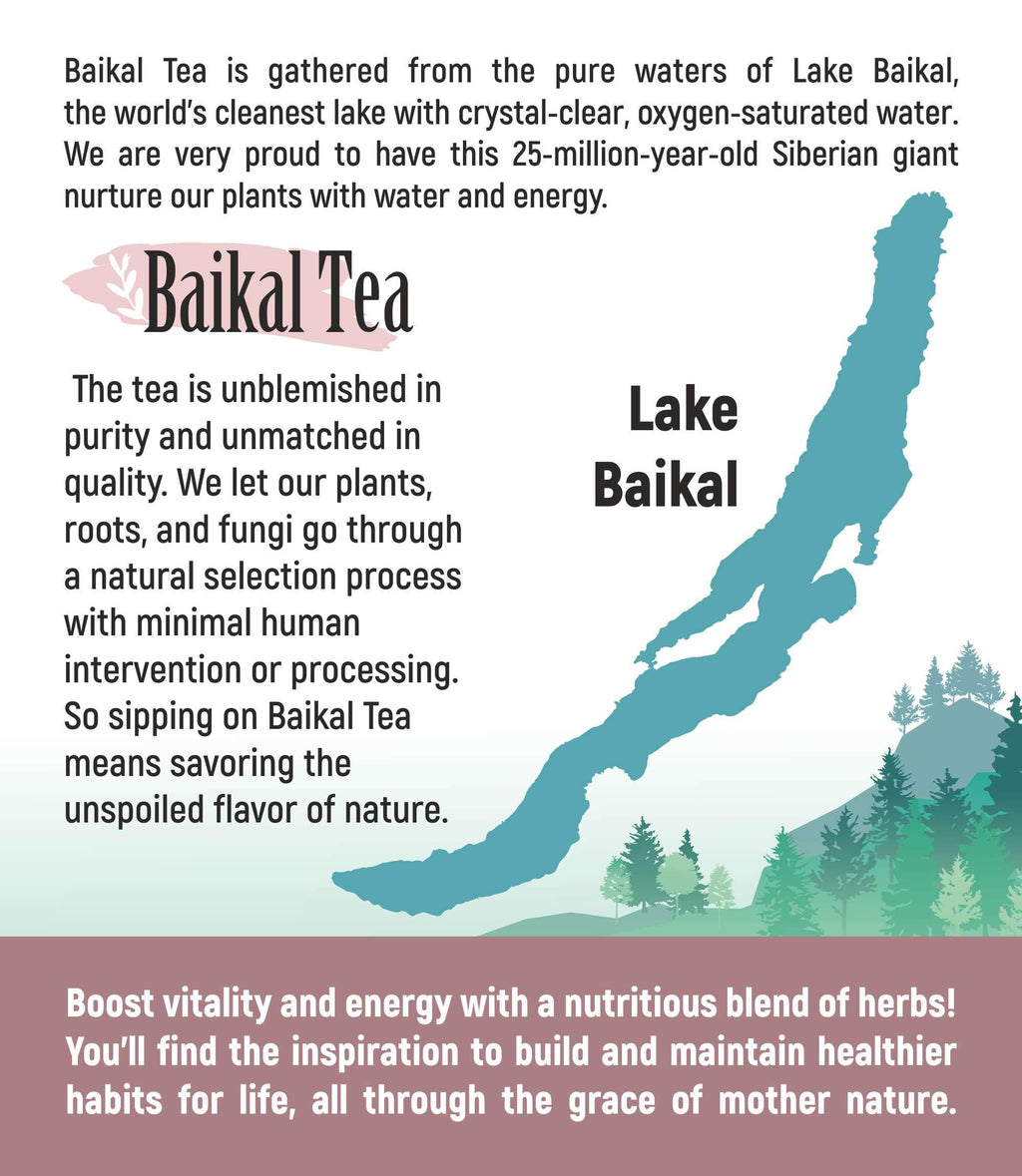 chaga tea for immune health