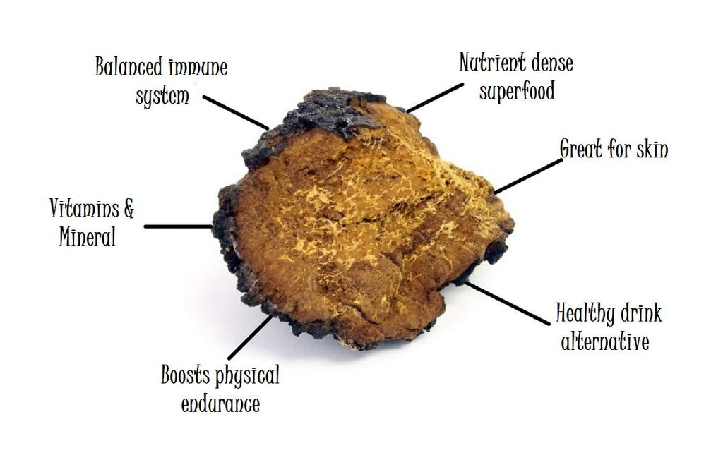 chaga tea for relaxation and wellness