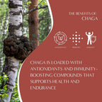 Chaga tea with ashwagandha benefits