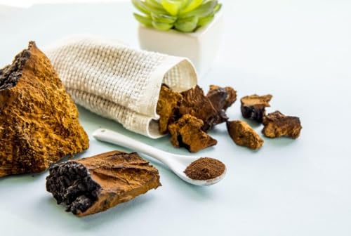 chaga tincture for daily vitality