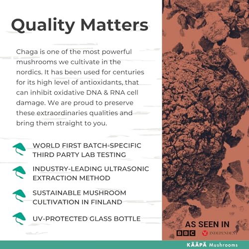 Chaga tincture for digestive health