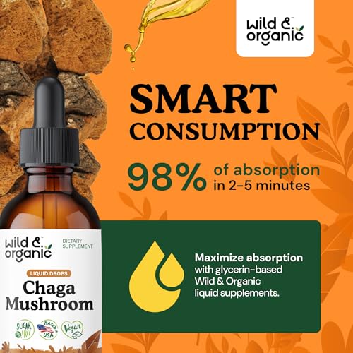 chaga tincture for everyday energy support