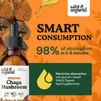 chaga tincture for stress relief