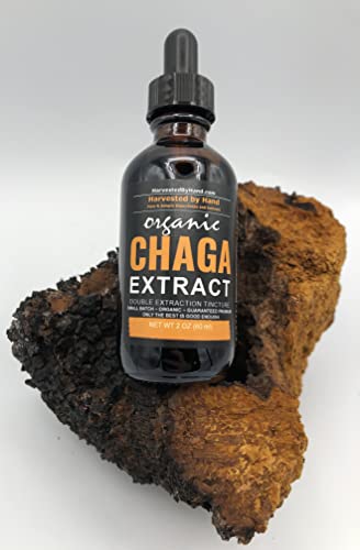 chaga tincture from Canadian birch