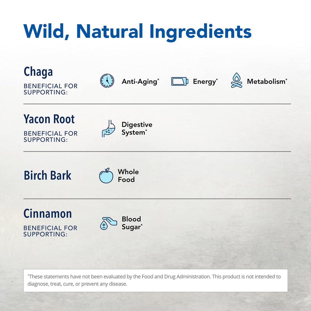 ChagaMilk for natural energy boost