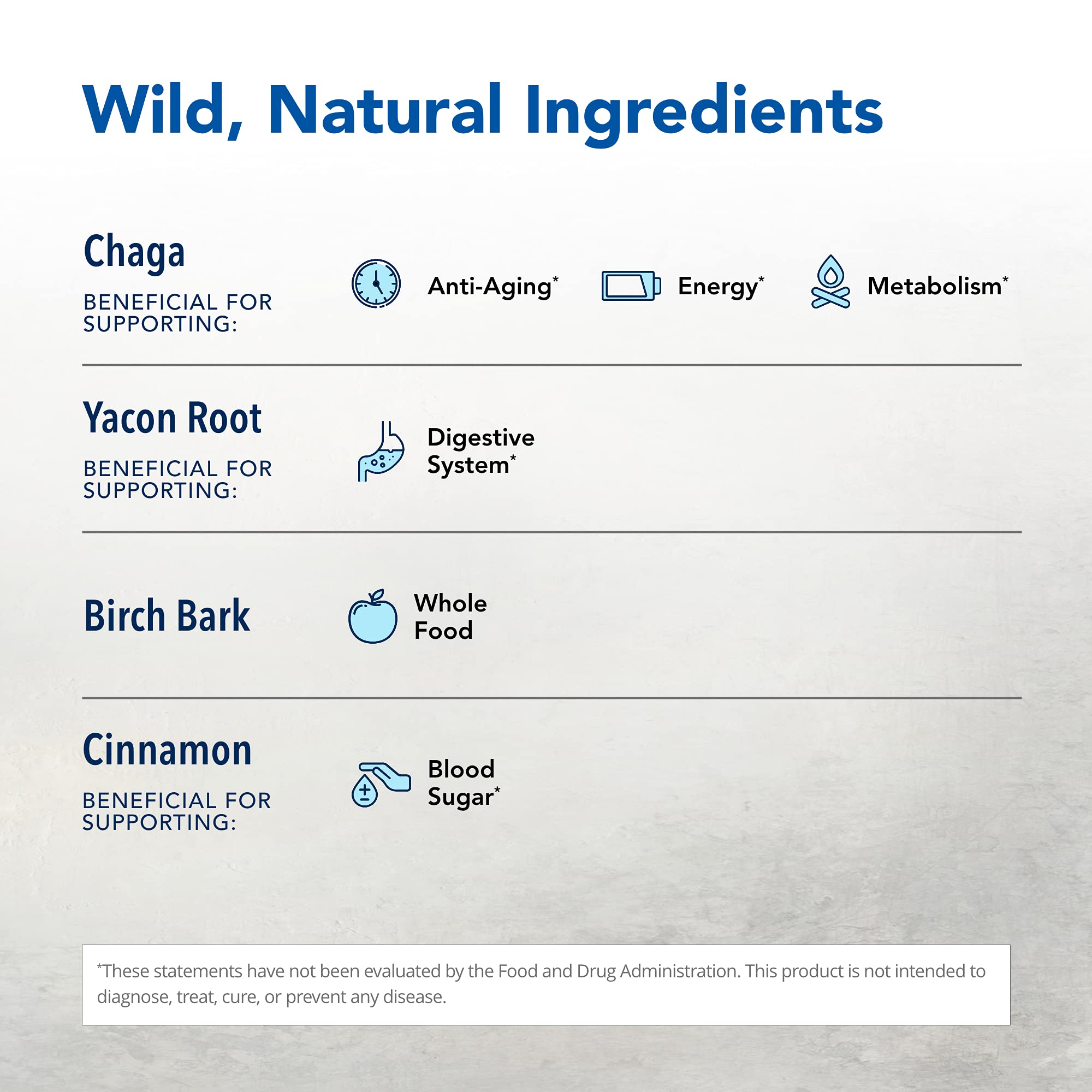 ChagaMilk for natural energy boost