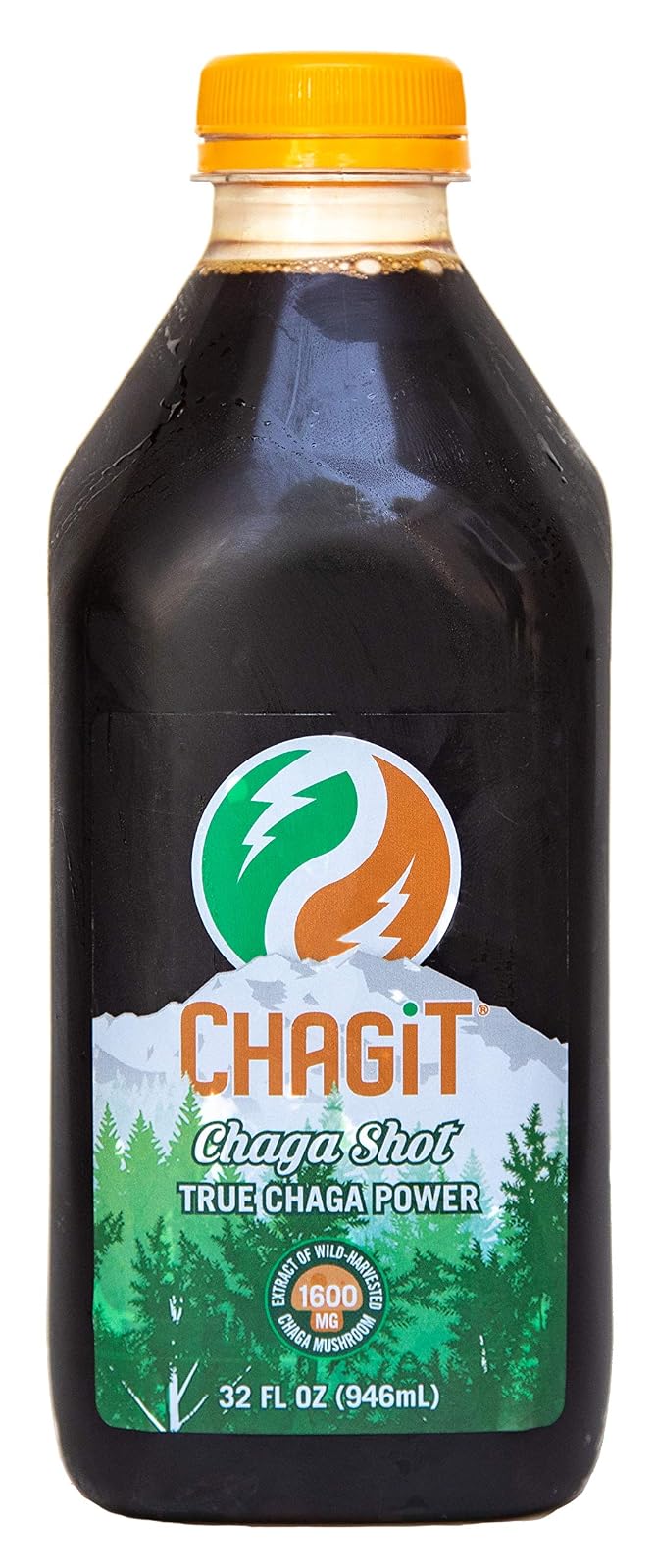 Chagit Chaga mushroom health benefits