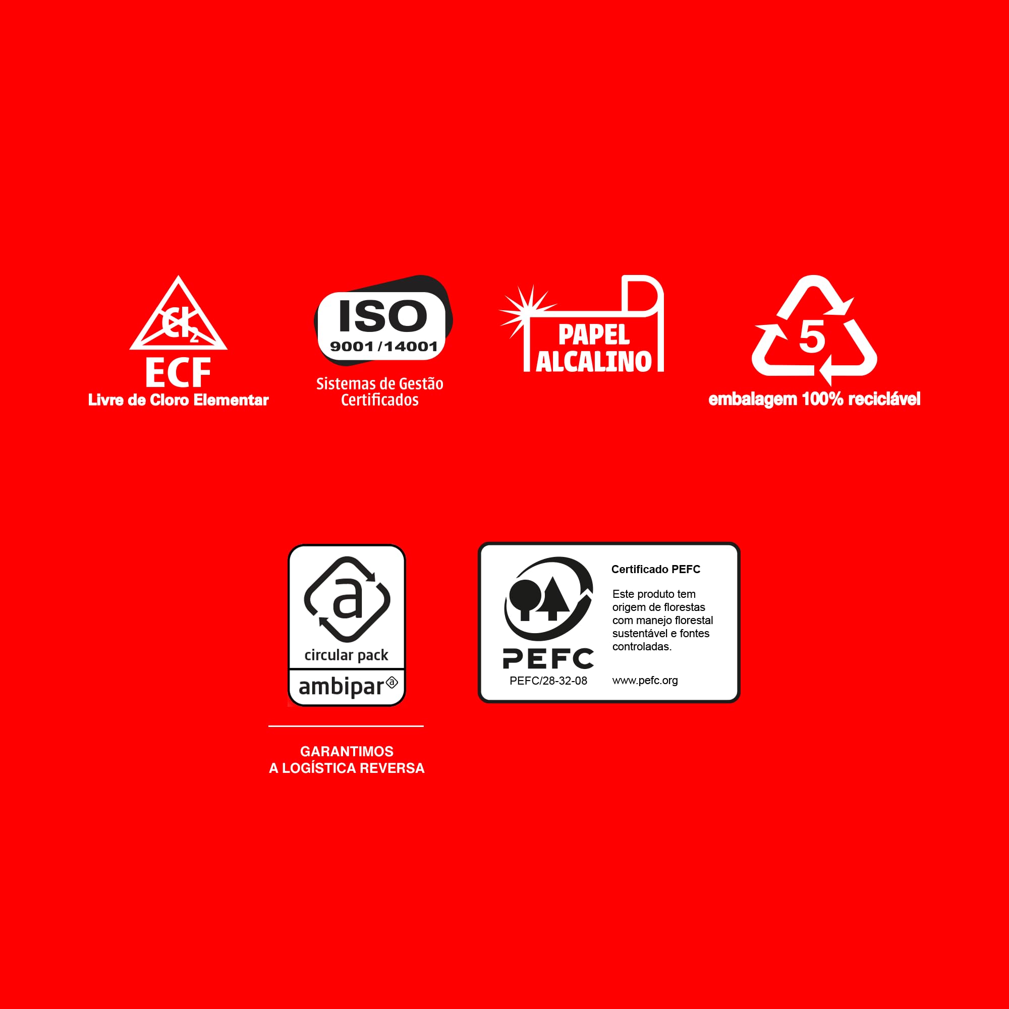 Chamex paper for creative DIY projects
