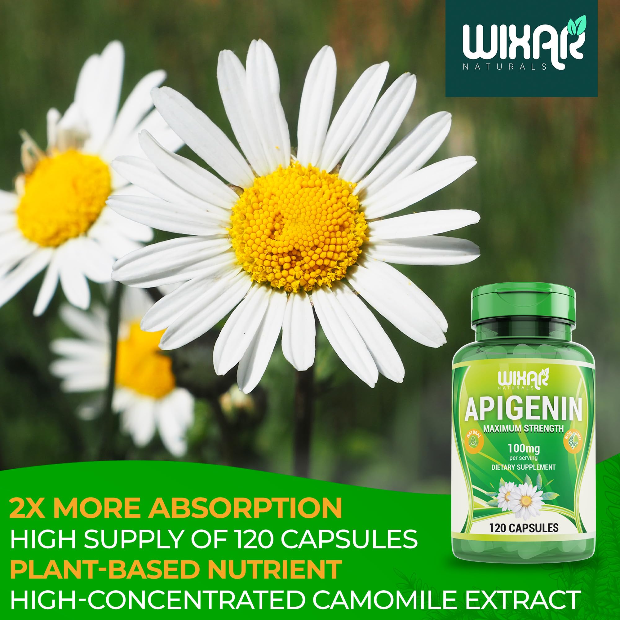 chamomile extract for daily health