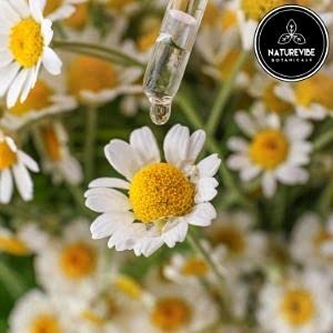 Chamomile liquid for peaceful evenings