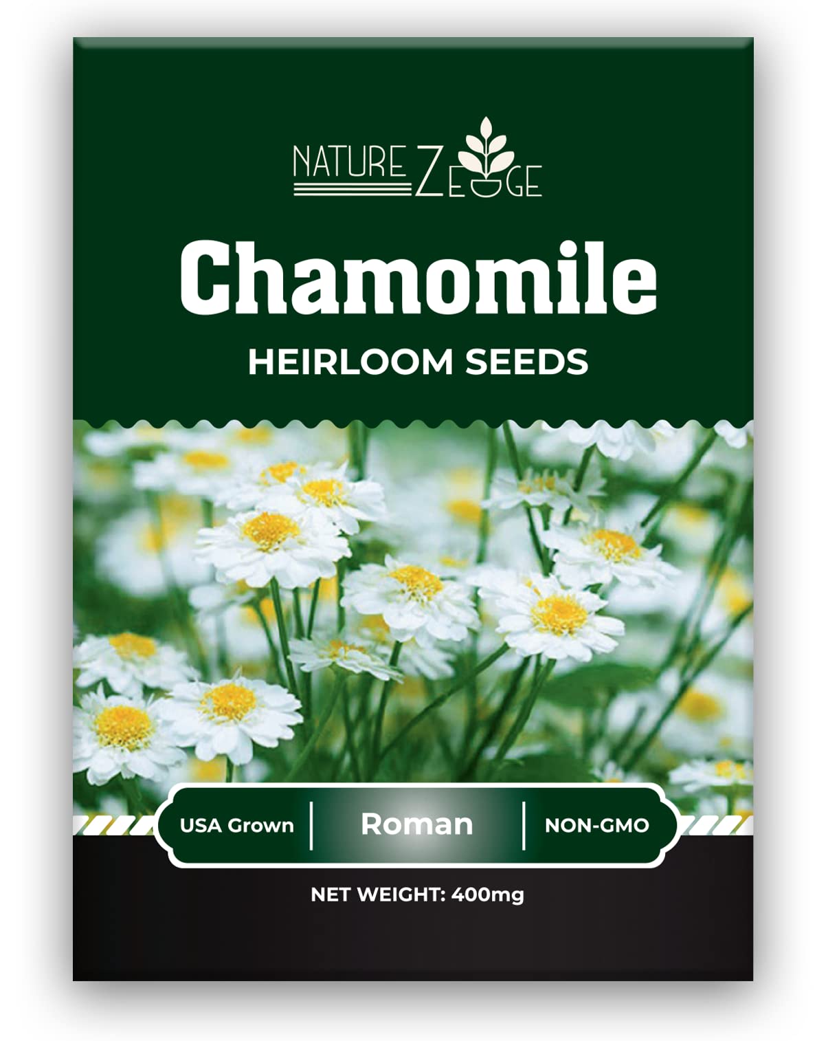 chamomile seeds for home gardening