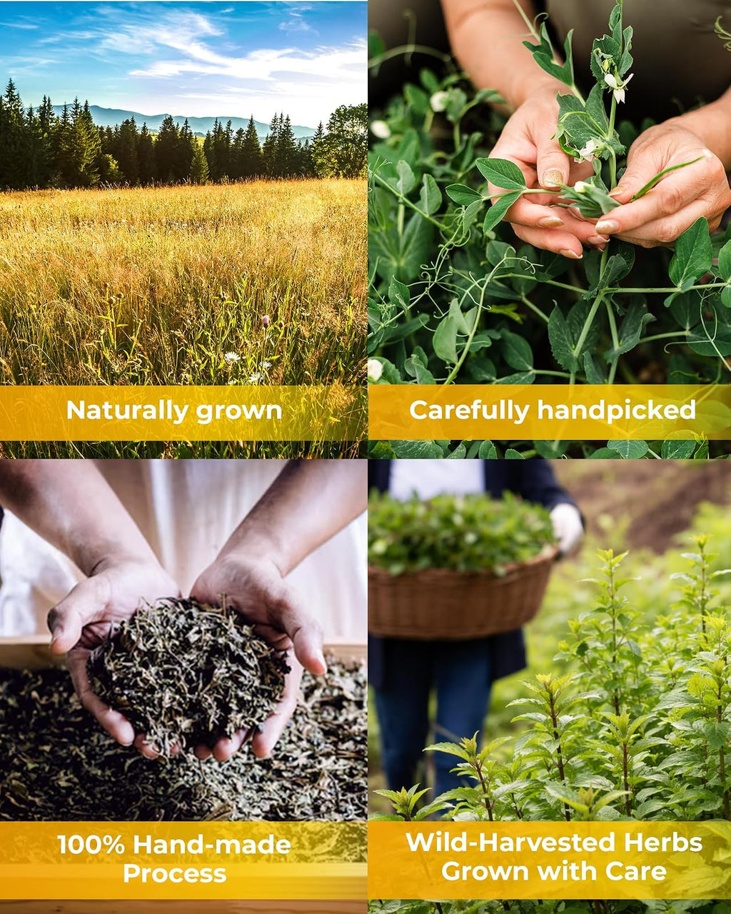 chamomile tea bags for calming moments