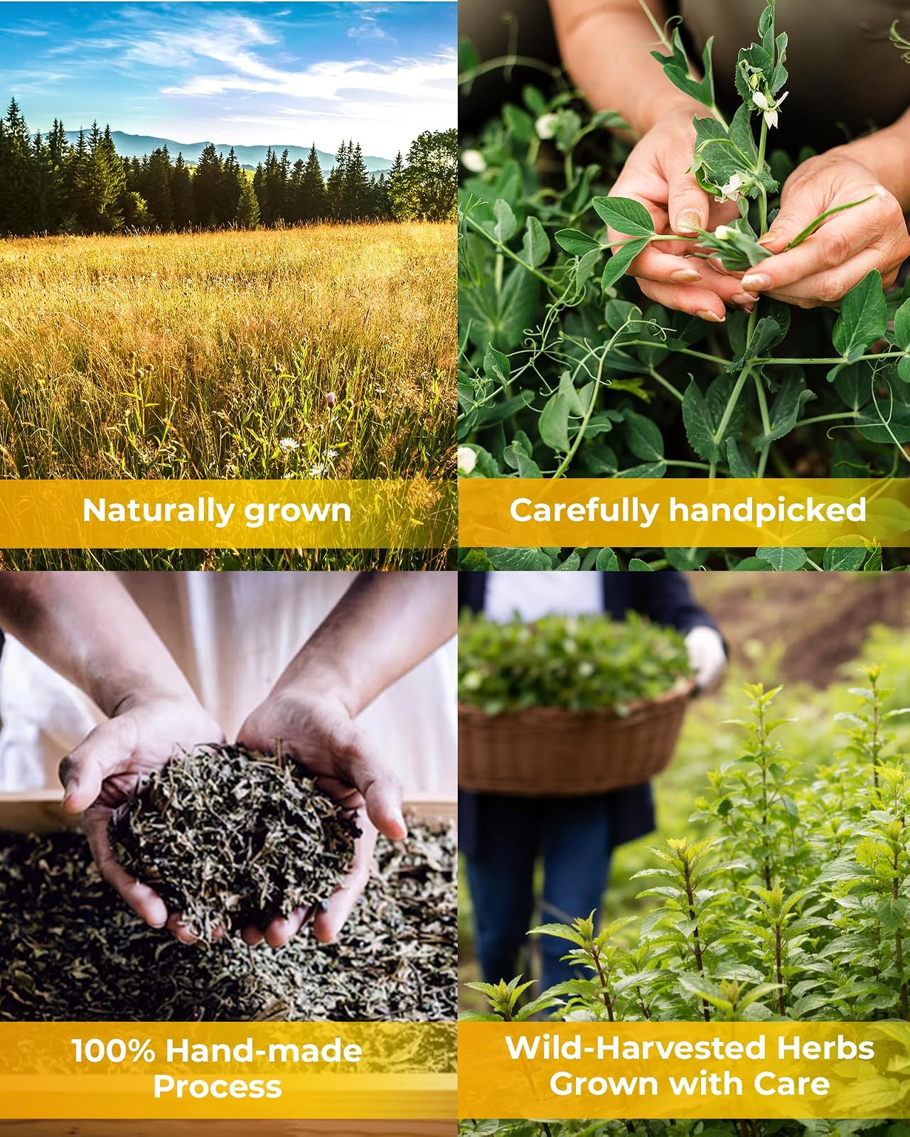 chamomile tea bags for calming moments