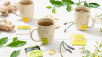 chamomile tea for digestive health