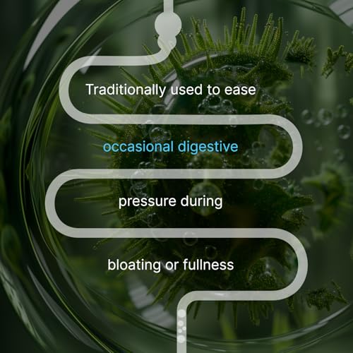 chamomile tincture for improved sleep quality