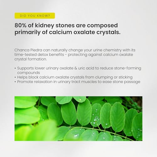 Chanca Piedra 500 mg for digestion