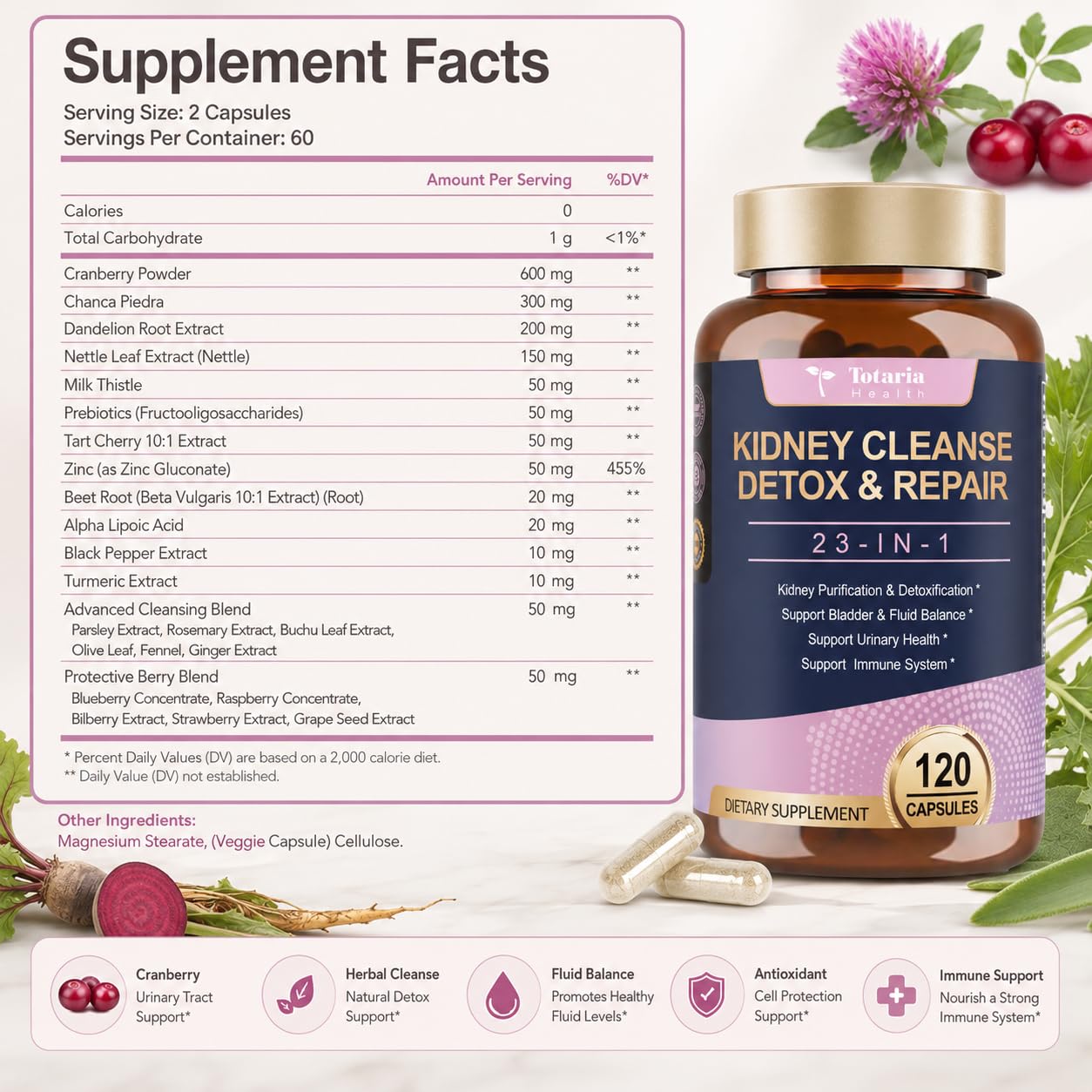 chanca piedra benefits for urinary health