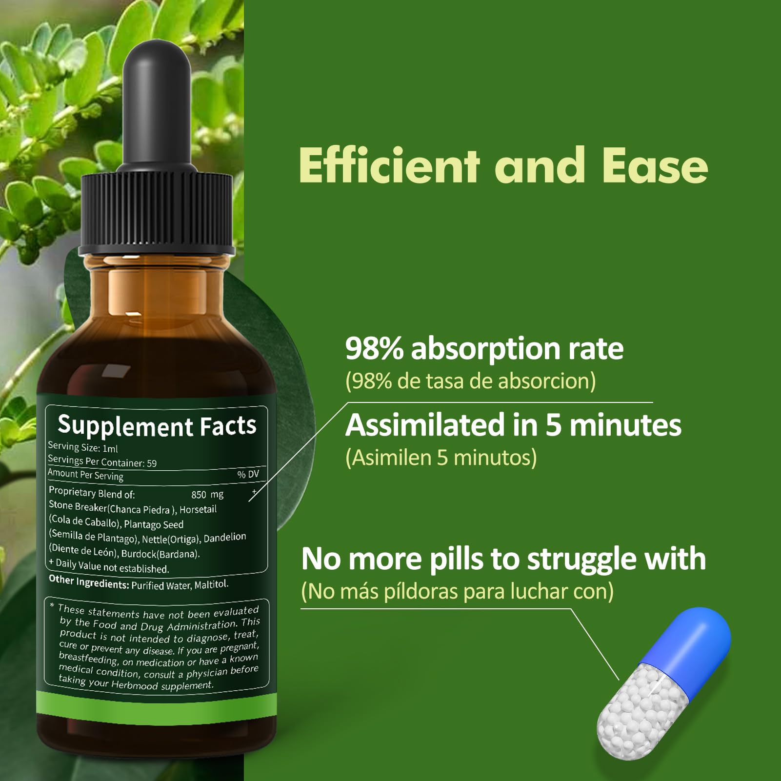 Chanca Piedra detox for urinary health