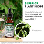 Chanca Piedra drops for detox