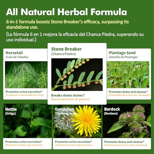 Chanca Piedra drops for effective cleansing