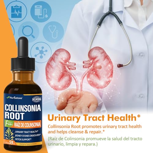 Chanca Piedra extract benefits