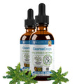 Chanca Piedra Extract for detox