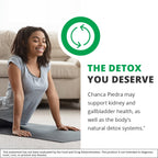Chanca Piedra for kidney health
