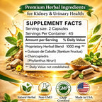 Chanca Piedra for kidney health