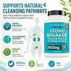 Chanca Piedra for kidney support