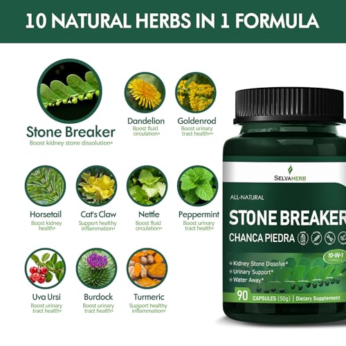 Chanca Piedra for natural detoxification