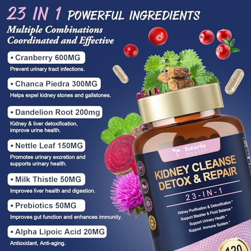 Chanca Piedra herbal detox benefits