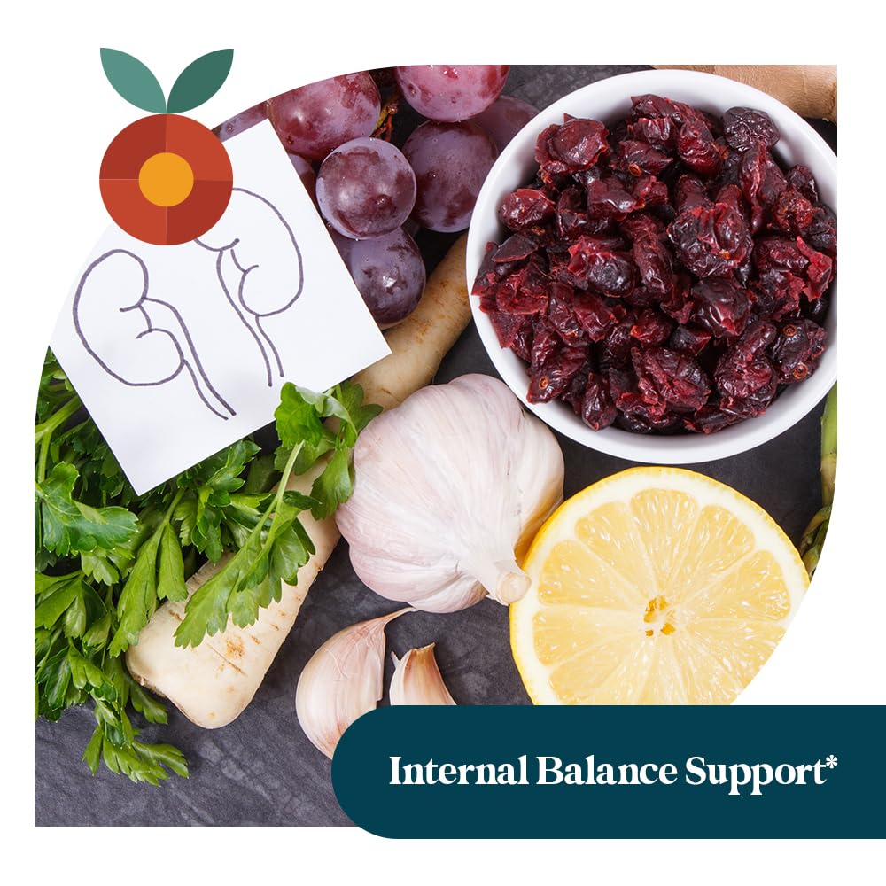 Chanca Piedra herbal kidney support