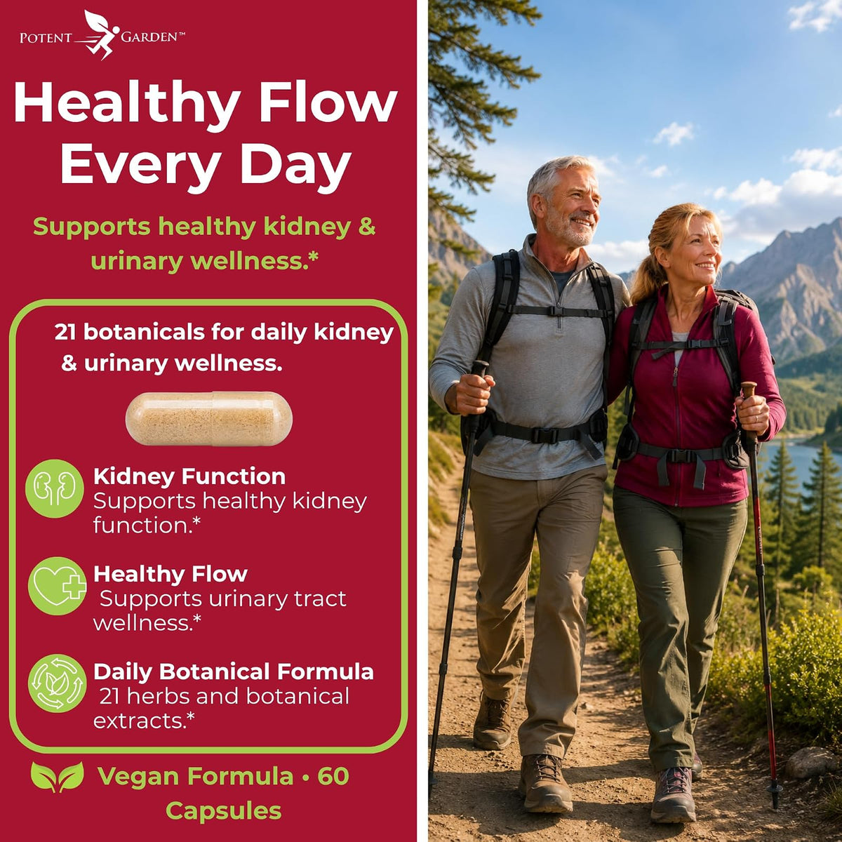 Chanca Piedra herbal supplement