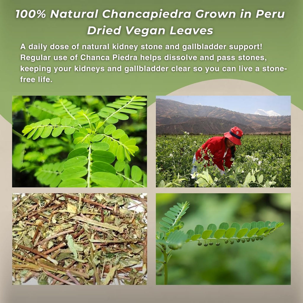 Chanca Piedra infusion for digestion
