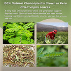 Chanca Piedra infusion for digestion
