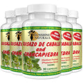 Chanca Piedra kidney support capsules