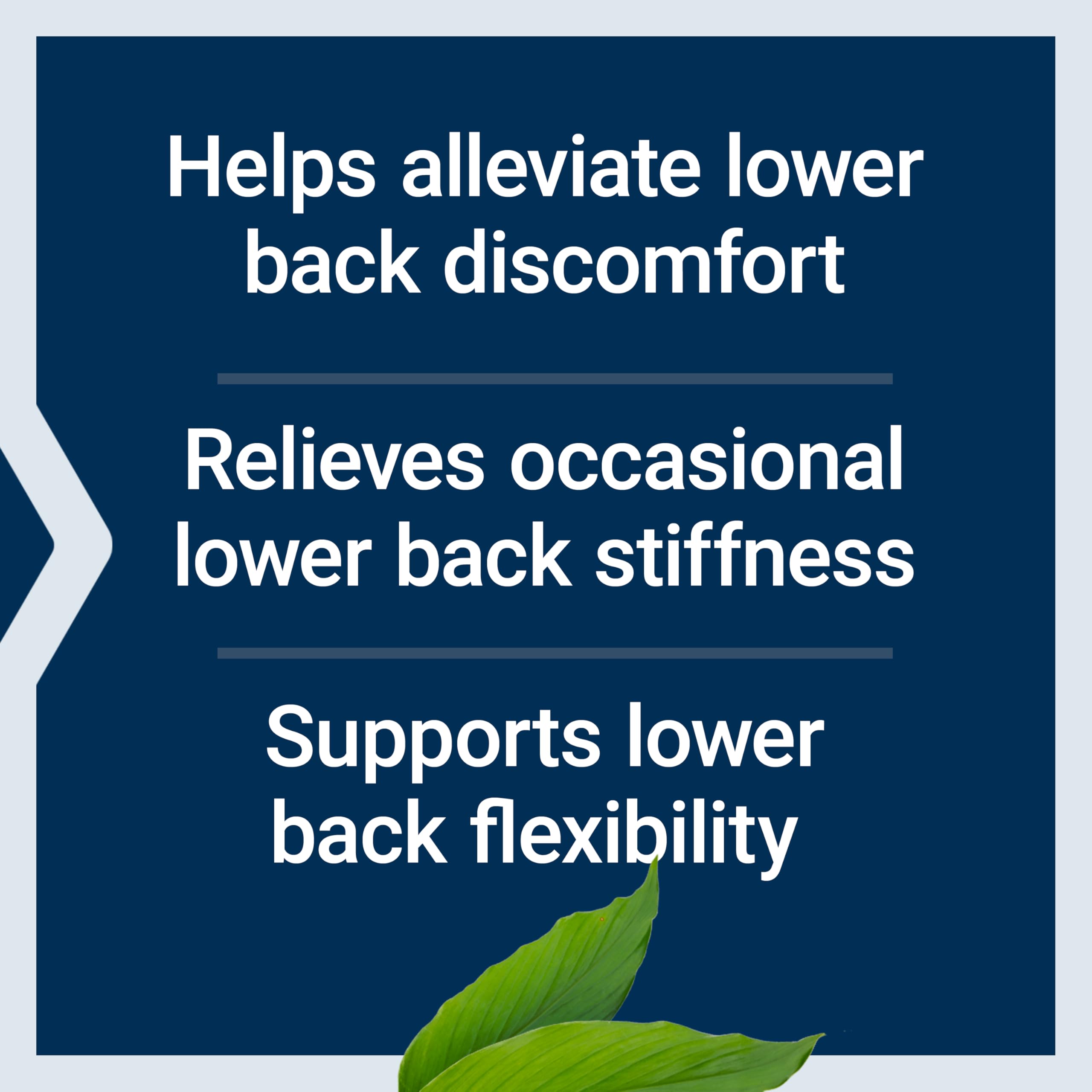 chaste tree and white willow benefits