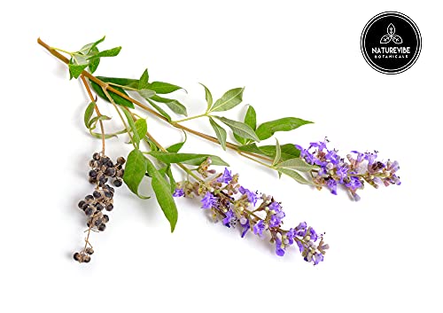 Chaste tree berries for women's health
