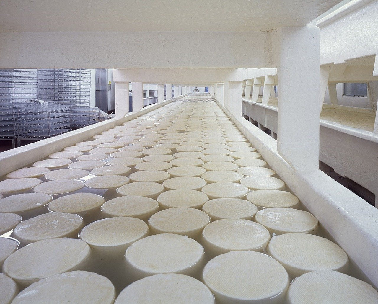 Cheese makers essential rennet tablets