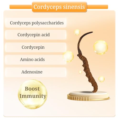 Cheezheng Himalaya herbal supplements benefits