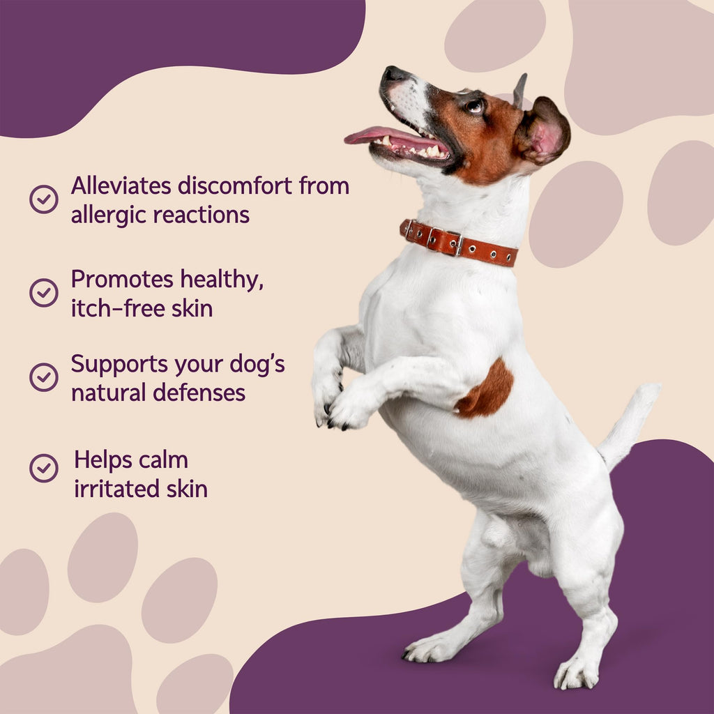 chewable allergy relief for dogs